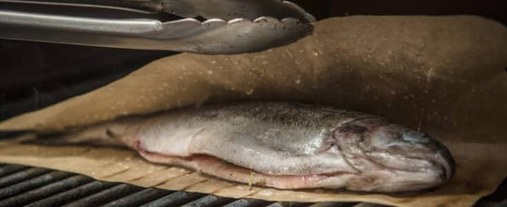 At What Temperature Is Fish Done? [COMPLETE GUIDE]